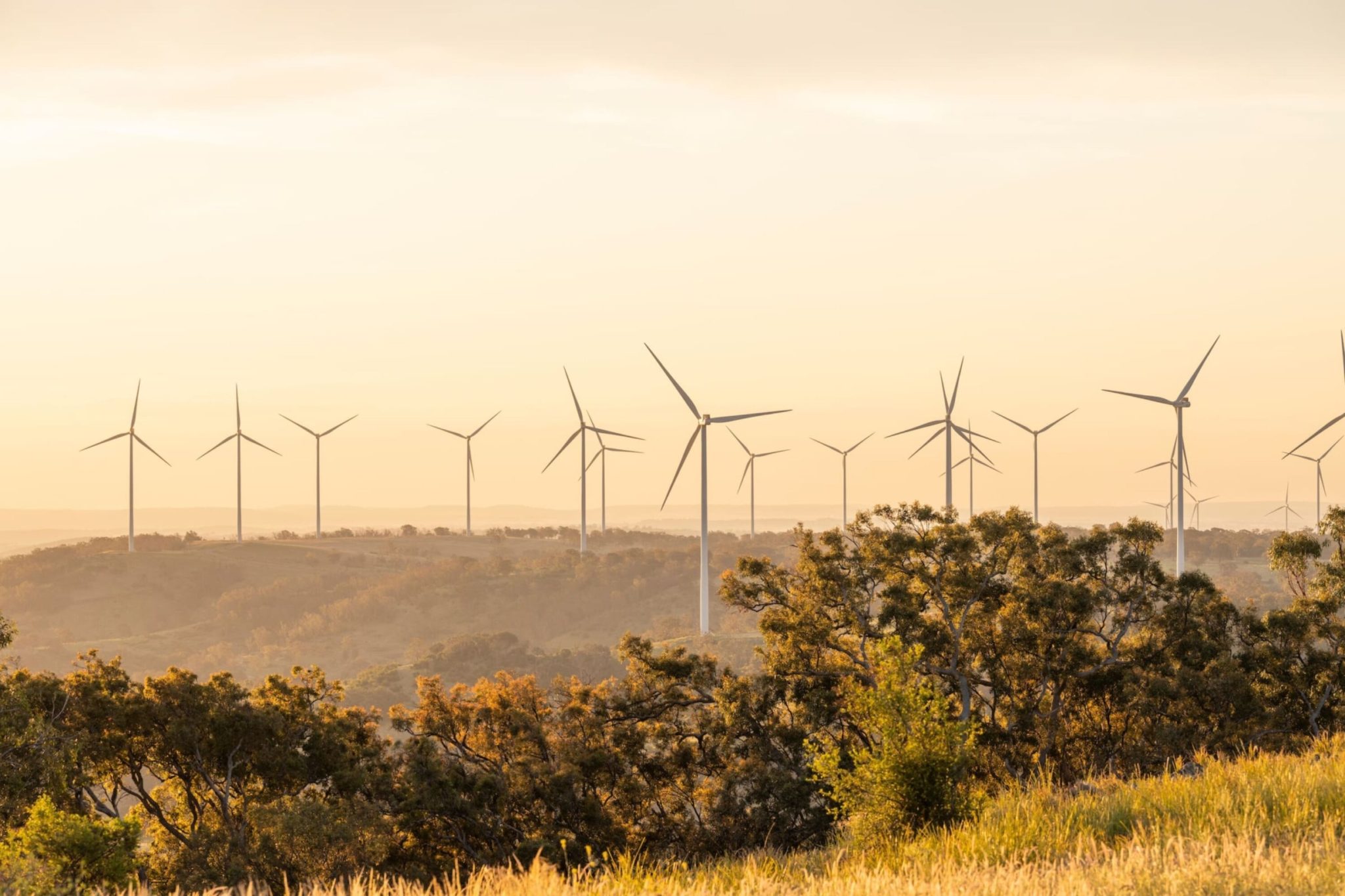 Murra Warra I Wind Farm | Squadron Energy