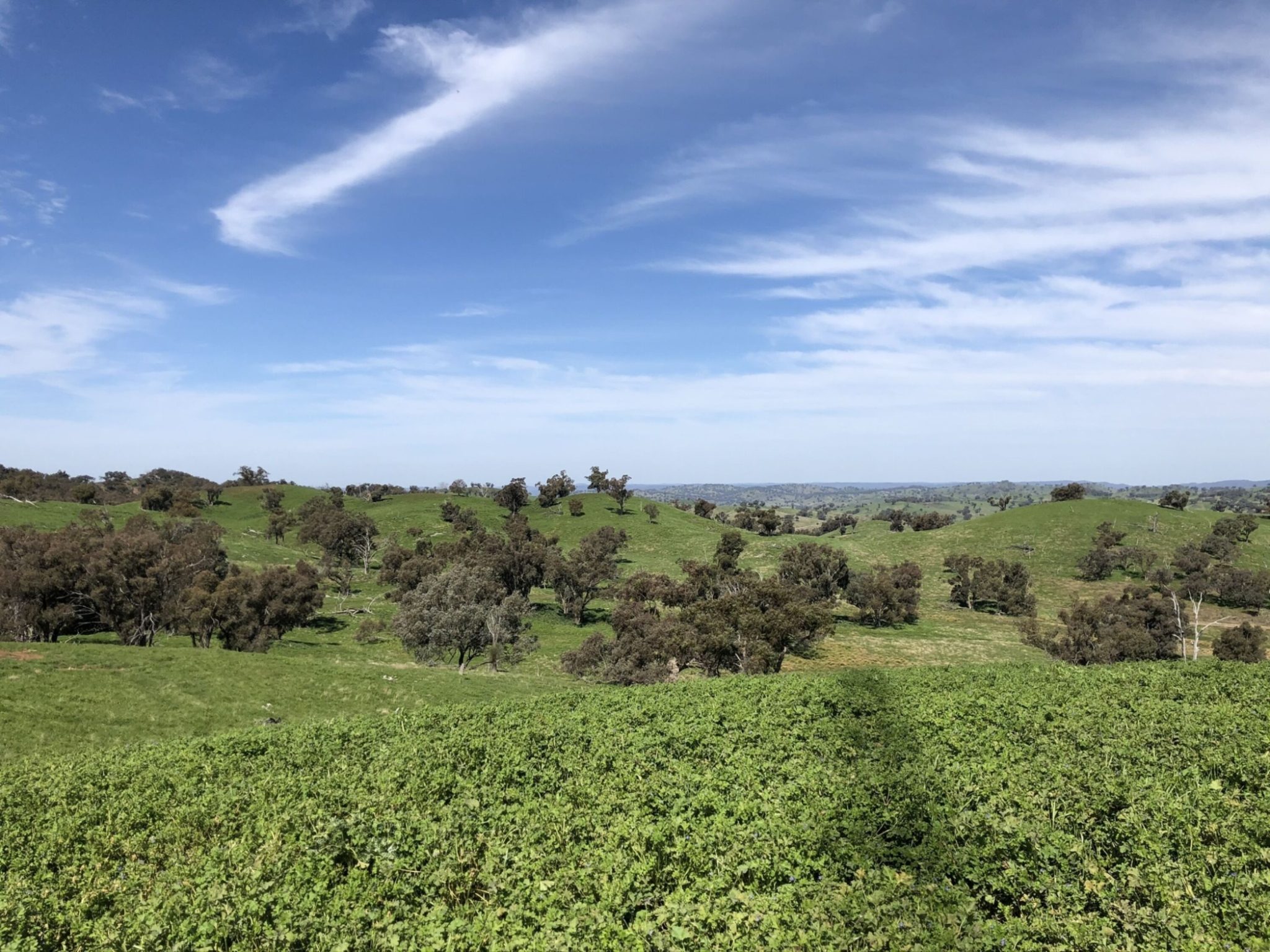 Uungula Wind Farm | Squadron Energy